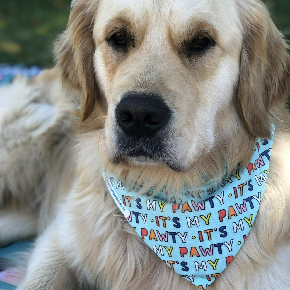 Pawty Time Dog Bandana – Pampered Paws Products